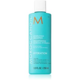 Moroccanoil Hydration hydratisierendes Shampoo mit Arganöl 250 ml