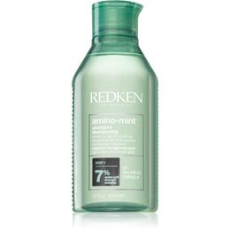 Redken Amino Mint sanftes Reinigungsshampoo für schnell fettiges Haar 300 ml