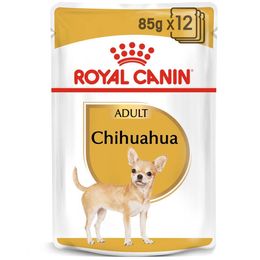 Royal Canin Chihuahua Adult Hundefutter nass 12x85g