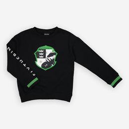 TK Maxx Schwarzes Sweatshirt mit Slytherin-Motiv