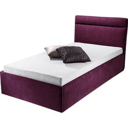 Polsterbett, lila (brombeer), B:207cm L:210cm, Bezug Bett: Microfaser (100% Polyester);Bonnell-Federkernmatratze: Mischgewebe (51% Polyprophlen, 39% Polyester, 10% Baumwolle);Kaltschaummatratze: Frottee (100% Polyester), Bezug abnehm- und waschbar bis 60C, Westfalia Schlafkomfort, Betten, inkl. Bettkasten bei Ausführung mit Matratze