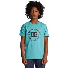 DC Shoes T-Shirt »DC Star Pilot« Meadowbrook 14(155-164cm) 14(155-164cm) Stoff: Jersey-Stoff aus Baumwolle [200 g/m2]