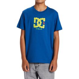 DC Shoes T-Shirt »Bookworm« Nautical Blue 12(148-156cm) 12(148-156cm) Stoff: Jersey-Stoff aus Baumwolle [200 g/m2]