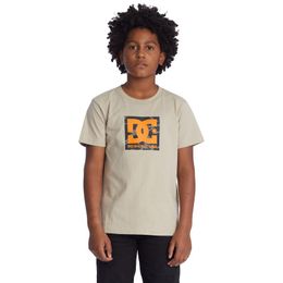 DC Shoes T-Shirt »DC Square Star Fill« Island Fossil 16(165-172cm) 16(165-172cm) Stoff: Jersey-Stoff aus Baumwolle [200 g/m2]