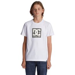 DC Shoes T-Shirt »DC Square Star Fill« White/Elephant 12(148-156cm) 12(148-156cm) Stoff: Jersey-Stoff aus Baumwolle [200 g/m2]