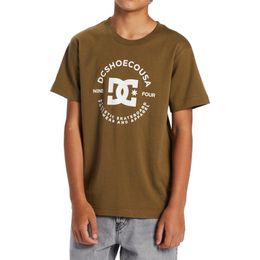 DC Shoes T-Shirt »DC Star Pilot« Capers 14(155-164cm) 14(155-164cm) Stoff: Jersey-Stoff aus Baumwolle [200 g/m2]