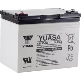 Yuasa REC36-12 YUAREC3612 Bleiakku 12 V 36 Ah Blei-Vlies (AGM) (B x H x T) 196 x 169 x 130 mm M5-Schraubanschluss Geringe Selbstentladung, Wartungsarm,