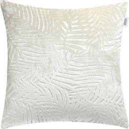 Sch&ouml;ner Wohnen Kollektion SCH&Ouml;NER WOHNEN-KOLLEKTION Dekokissen &raquo;Florance&laquo; aus hochwertiger Samtoptik beige/creme/offwhite + gebl&uuml;mt Obermaterial: 100% Polyester B/L: 45 cm x...