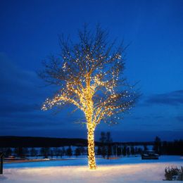 Markslöjd Lichterkette Chrissline extra warm mit 50 LEDs