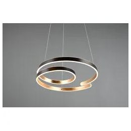 Trio LEUCHTEN LED Pendelleuchte "MARNIE, spiralförmige LED Hängelampe indirektes Licht warmweiß 3000K", schwarz (schwarz gold), 1 flammig, Ø 65,0cm H: 150,0cm,, Lampen, 8000 Lumen höhenverstellbar 3 Stufen dimmbar Hängeleuchte Esszimmer