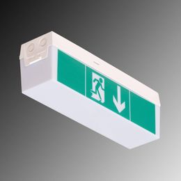 B-Safety LED-Notleuchte C-Lux Standard, Einzelbatterie