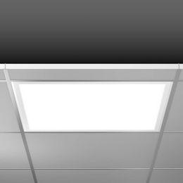 RZB ZIMMERMANN RZB Sidelite Eco LED-Panel DALI 62,2cm 29W 830