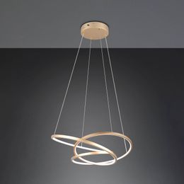 Trio LED-Hängeleuchte Darvin Länge 64 cm, goldfarben, Metall, CCT