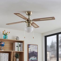 LINDBY Deckenventilator mit Licht Rakan, leise, Ø 106 cm