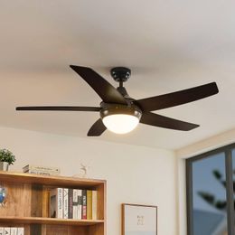 LINDBY Deckenventilator mit Licht Auraya, leise, schwarz