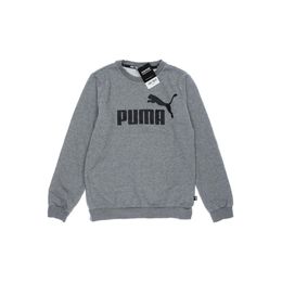 Puma Herren Hoodies & Sweater, grau, Gr. 164