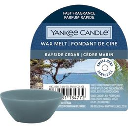 yankee candle Raumdüfte Duftwachs BlueBayside Cedar