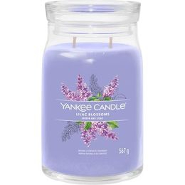 yankee candle Raumdüfte Duftkerzen Lilac Blossoms