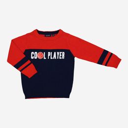 TK Maxx Rot-dunkelblauer Pullover