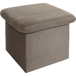 Hocker COTTA "Casino" Gr. B/H/T: 65cm x 42cm x 65cm, Luxus-Microfaser, grau