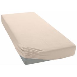 Spannbettlaken Curt Bauer "Jersey" Laken Gr. B/L: 140-160cm x 200-220cm, Jersey, 140-160x200-220cm 20cm, beige (creme) Uni