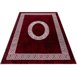 Teppich Ayyildiz Teppiche "PLUS 8009" Teppiche Gr. B: 160cm, 6mm, L: 230cm, rot