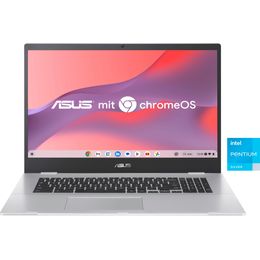 ASUS Chromebook "CX1 CX1500CKA-EJ0161" Notebooks ChromeOS, Clamshell Laptop Gr. 4 GB RAM, Pentium Silber, Google Chrome OS, silberfarben (transparent silver)