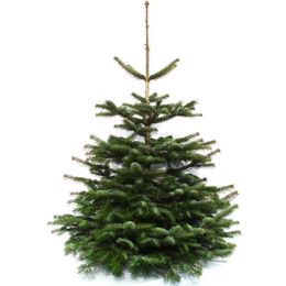 Echter Weihnachtsbaum WEIHNACHTSBAUMLAND "Echte Premium-Nordmanntanne, Weihnachtsdeko aussen" Weihnachtsbäume Gr. 48, 120 cm bis 140 cm, grün (tannengrün)