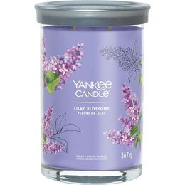 yankee candle Raumdüfte Tumbler Lilac Blossoms