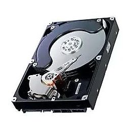 HP Enterprise Interne Festplatte 713971-001 500 GB
