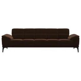 3,5-Sitzer FLEXLUX "Viale, Megasofa, superbequemer Sitzkomfort durch Kaltschaum im Sitz" Sofas Gr. B/H/T: 246cm x 99cm x 74cm, Velvet, braun (tobacco) aufwendige Detailverarbeitung, aktuelle Formensprache und Optik