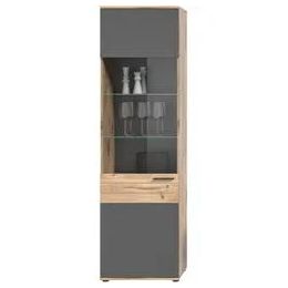 Vitrine Inosign "Riga" Schränke Gr. B/H/T: 57cm x 200cm x 37cm, braun (nox oak nb/basalt grau nb) Höhe 200 cm