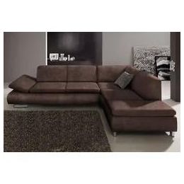 Ecksofa Max Winzer "Toulouse modern und bequem, aktuelles Design, hoher Sitzkomfort" Sofas Gr. B/H/T: 237 cm x 75 cm x 190 cm, Leder 93700, Ottomane rechts, braun mit klappbaren Armlehnen, Breite 237 cm