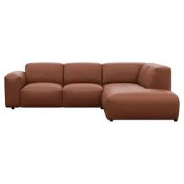 Ecksofa FLEXLUX "Lucera, super Sitzkomfort durch Kaltschaum im Sitz, L-Form" Sofas Gr. B/H/T: 256cm x 73cm x 231cm, Echtleder, Chaiselongue links, braun (old chestnut brown) modern & anschmiegsam, Designsofa, modernes skandinavisches Design