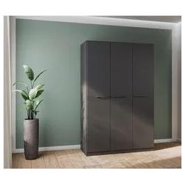 Drehtürenschrank Rauch "Kleiderschrank Schrank Garderobe Garderobenschrank Stauraumwunder MODI" Schränke Gr. B/H/T: 136cm x 210cm x 54cm, Ohne Spiegel, grau (graumetallic) inkl. Stoff-Organizer mit 6 Fächern optionaler Spiegel MADE IN GERMANY