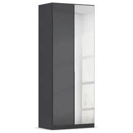 Drehtürenschrank Rauch "Kleiderschrank Kleiderschränke Schrank Garderobe AGORDO mit Glasfront" Schränke Gr. B/H/T: 91 cm x 229 cm x 54 cm, 2 St., grau (graumetallic) durchdachte Innenausstattung, in 6 Breiten und 2 Höhen MADE IN GERMANY