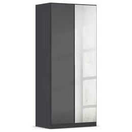 Drehtürenschrank Rauch "Kleiderschrank Kleiderschränke Schrank Garderobe AGORDO mit Glasfront" Schränke Gr. B/H/T: 91cm x 210cm x 54cm, 2 St., grau (graumetallic) durchdachte Innenausstattung, in 6 Breiten und 2 Höhen MADE IN GERMANY