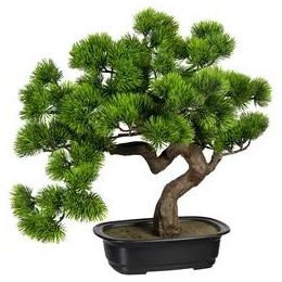 Kunstbonsai Gasper, grün, B:40cm H:40cm T:20cm, Kunststoff, Kunstpflanzen