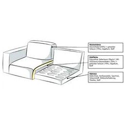 Guido Maria Kretschmer Home & Living Big-Sofa GUIDO MARIA KRETSCHMER HOME & LIVING "Pantin" Sofas Gr. B/H/T: 266cm x 80cm x 113cm, Samt, grau (steel) extra weich und kuschelig, Füllung mit Federn Daunen