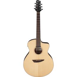 Ibanez PA300E-NSL