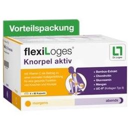 Dr. Loges + Co. GmbH flexiLoges Knorpel aktiv