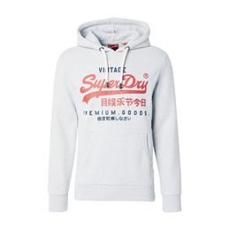 Superdry Sweatshirt male Grey size XL