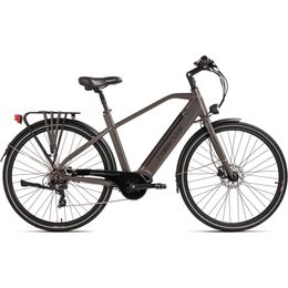 E-Bike HOLLANDIA "Mantova" E-Bikes Gr. 52 cm, 28 Zoll (71,12 cm), grau Pedelec, Elektrofahrrad für Damen u. Herren, Urbanbike