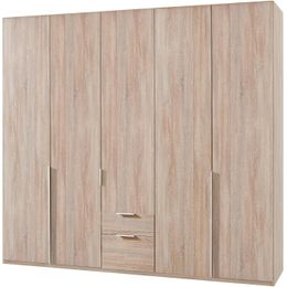 Kleiderschrank wimex "New York" Schränke Gr. B/H/T: 225cm x 208cm x 58cm, 5 St., braun (struktureichefarben hell) wahlweise 208 oder 236cm hoch