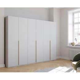 Drehtürenschrank Rauch "Skat Glamour" Schränke Gr. B/H/T: 301 cm x 235 cm x 63 cm, 6 St., grau (seidengrau) goldene Griffstange und umfangreiche Innenausstattung