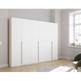 Drehtürenschrank Rauch "Skat Glamour" Schränke Gr. B/H/T: 301 cm x 223 cm x 63 cm, 6 St., weiß (alpinweiß) goldene Griffstange und umfangreiche Innenausstattung