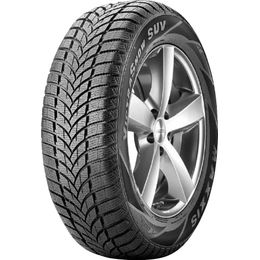 Winterreifen Maxxis "WINTERMAXX MA-SW", schwarz, 225mm / 75 % R 16 104H, Autoreifen