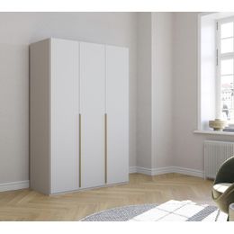 Drehtürenschrank Rauch "Skat Glamour" Schränke Gr. B/H/T: 151 cm x 235 cm x 63 cm, 3 St., grau (seidengrau) goldene Griffstange und umfangreiche Innenausstattung