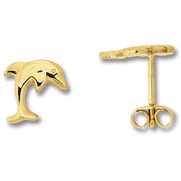 Paar Ohrhänger ONE ELEMENT "Delfin Ohrringe Ohrstecker aus 333 Gelbgold" Gr. Kinder, Gelbgold 333, goldfarben (gold) Damen Gold Schmuck Delfin