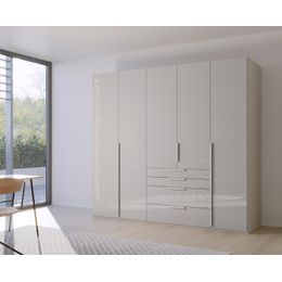 Drehtürenschrank Rauch "Purisma" Schränke Gr. B/H/T: 251 cm x 223 cm x 60 cm, 5 St., grau (seidengrau, glas seidengrau) mit Glasfront, Schubladen und umfangreichem Zubehör, Soft-Close